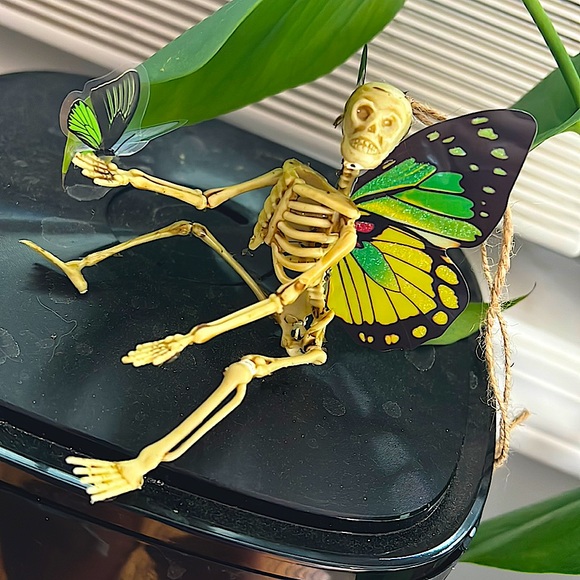 Holiday | Fairy Skeleton Fairy | Poshmark